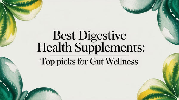 Best Digestive Health Supplements: Top Picks for Gut Wellness - AloeCure