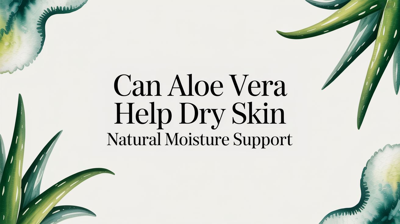 Can Aloe Vera Help Dry Skin? Natural Moisture Support - AloeCure