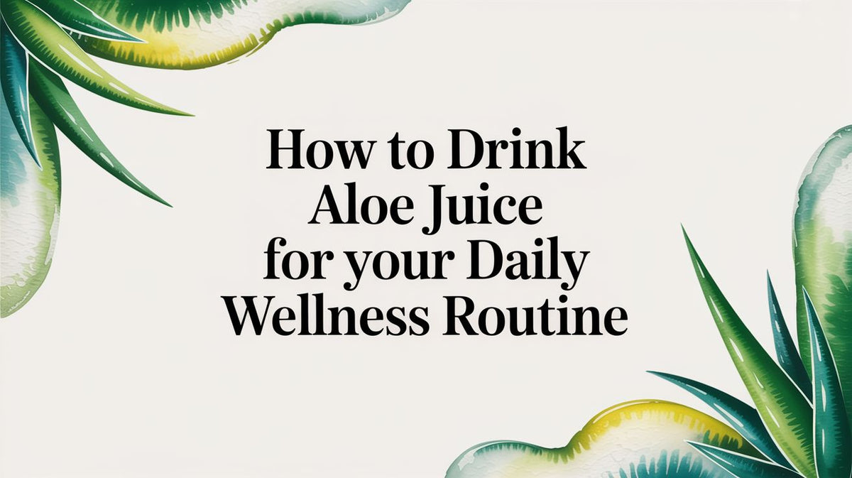 How to Drink Aloe Juice for Your Daily Wellness Routine - AloeCure