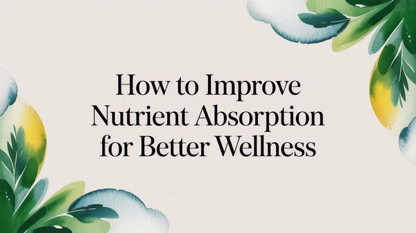 How to Improve Nutrient Absorption for Better Wellness - AloeCure